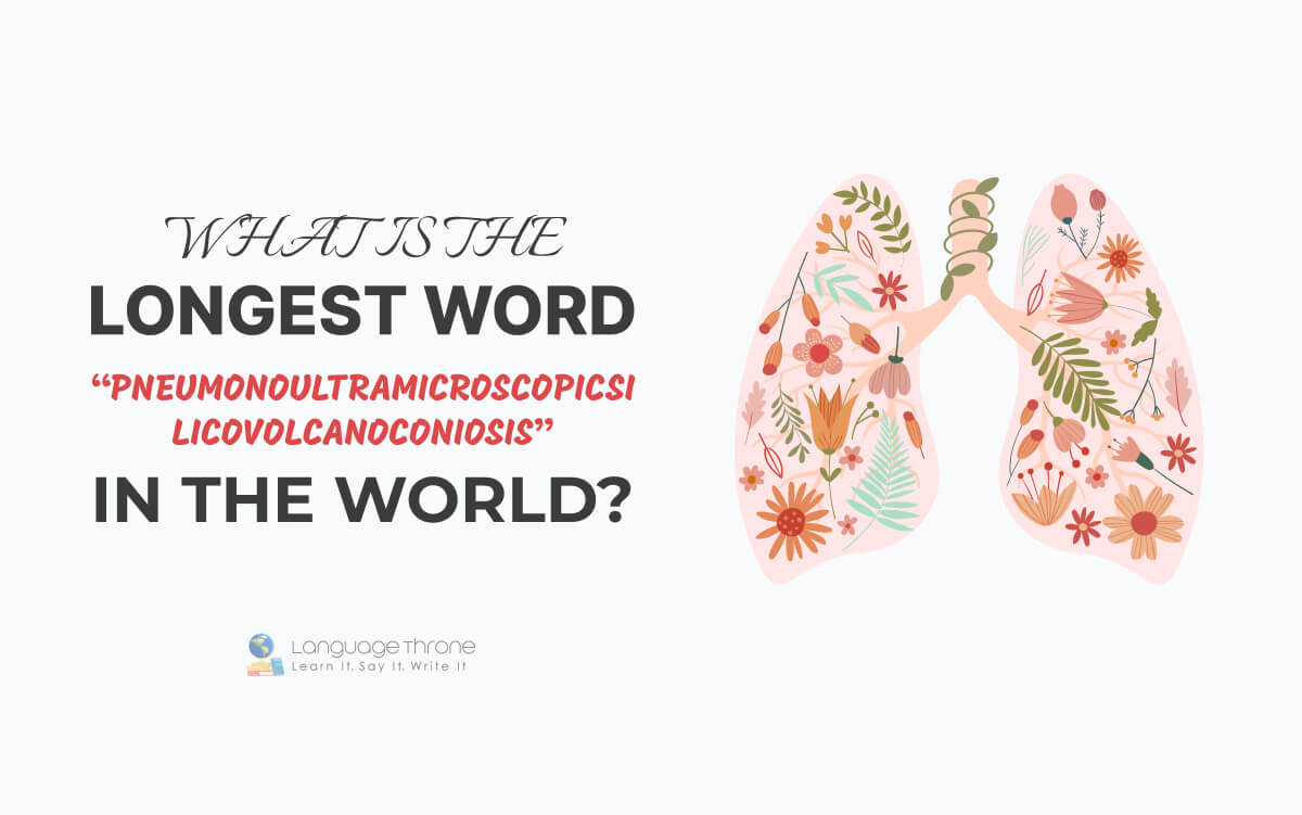 What Is The Longest Word In The World? - Language Throne